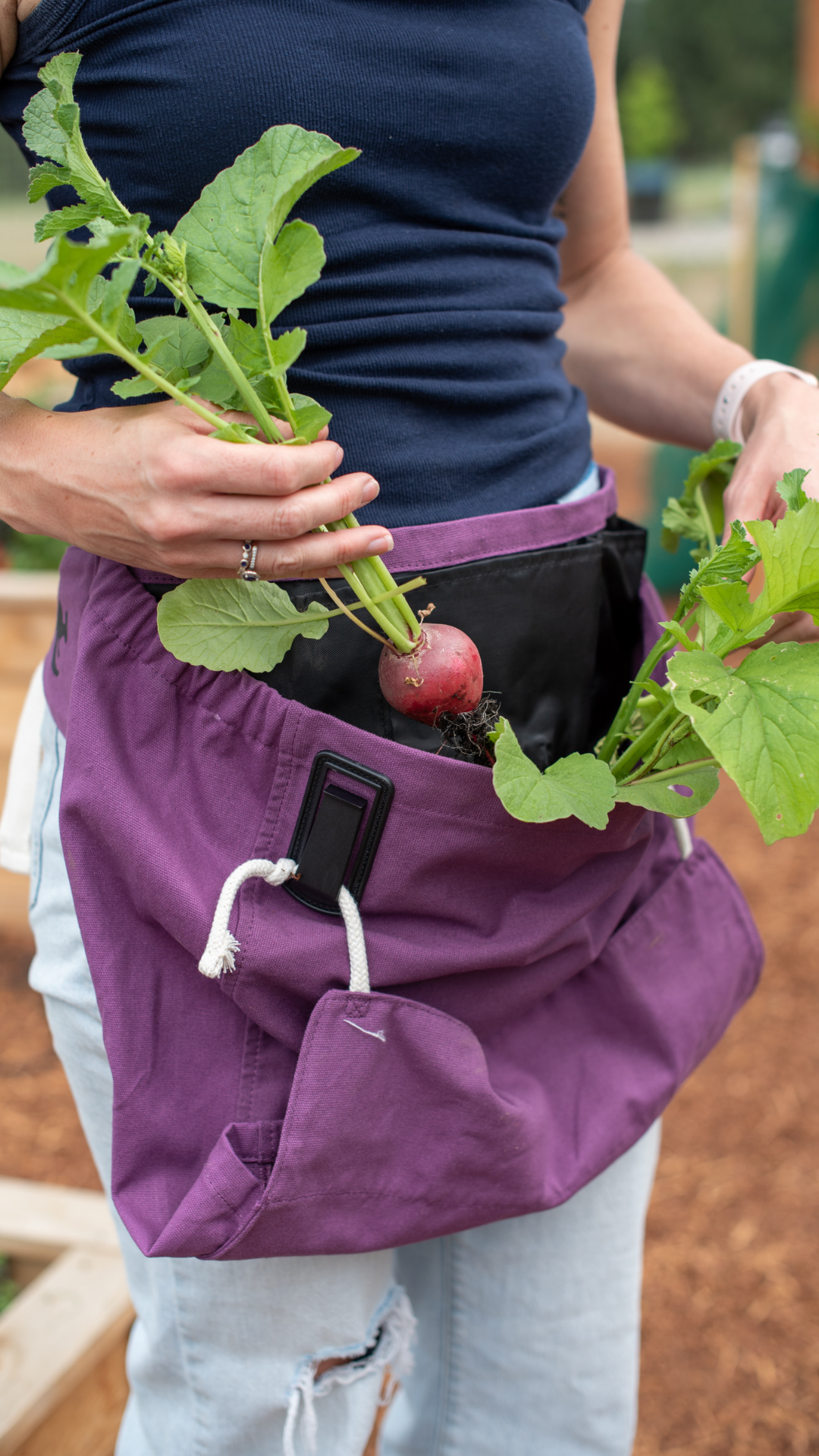 The Best Materials to Toss in Compost Bin (Printable Chart) - Lettuce ...